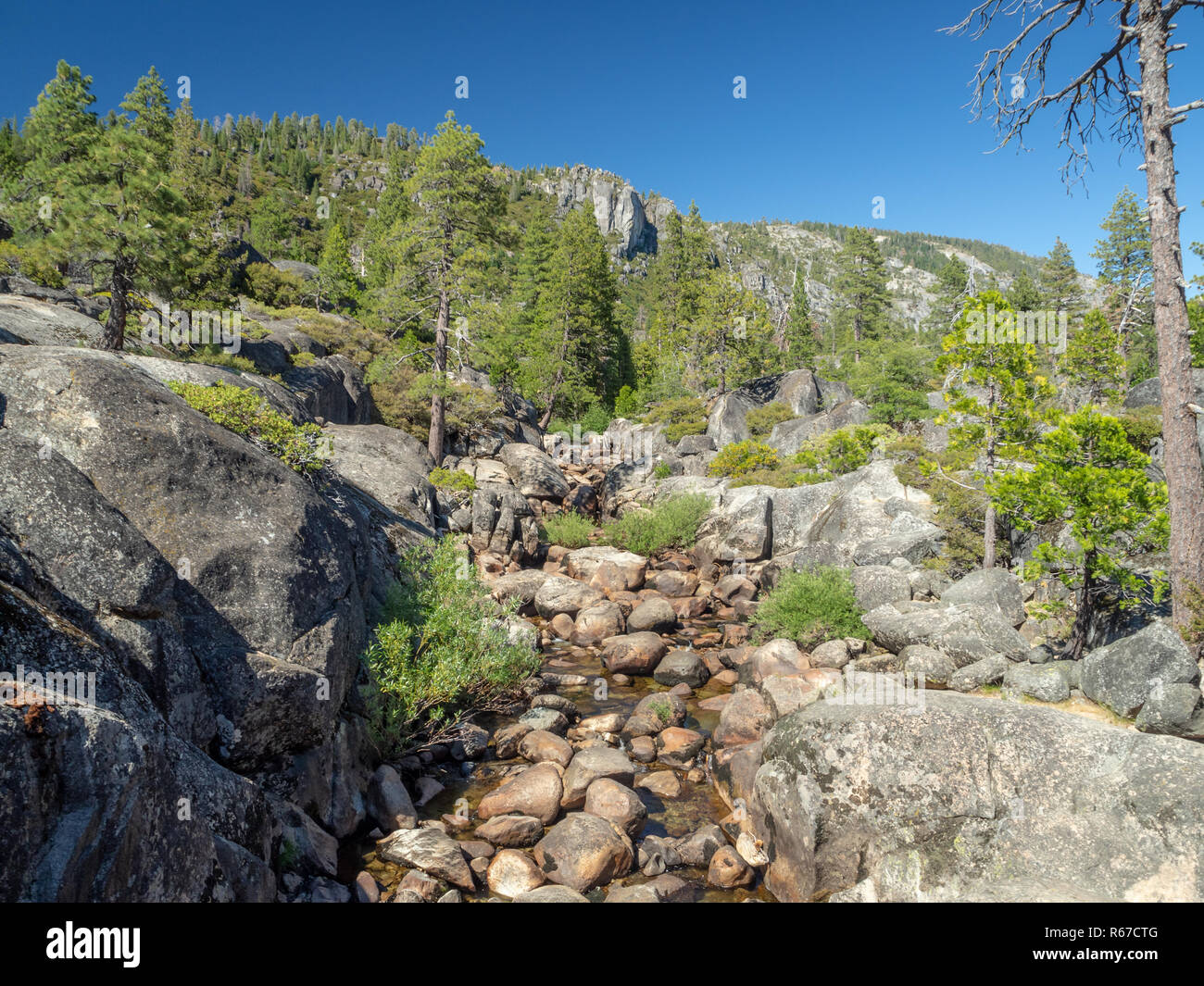 Pinecrest Lake, Stanislaus National Forest, Yosemite, California, USA ...