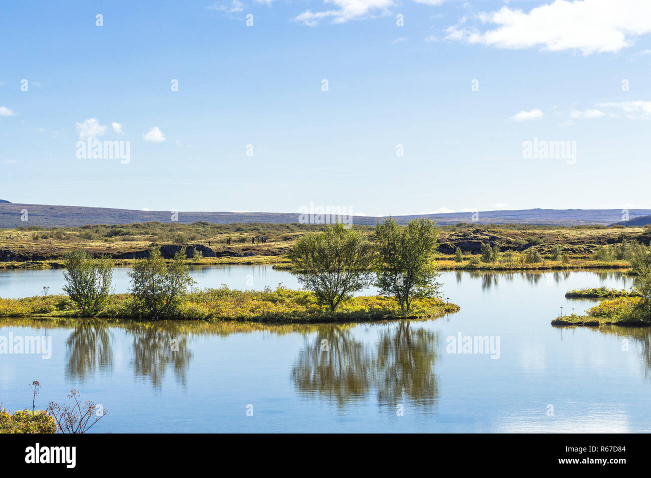 island in Thingvallavatn Lake in Thingvellir park Stock Photo - Alamy