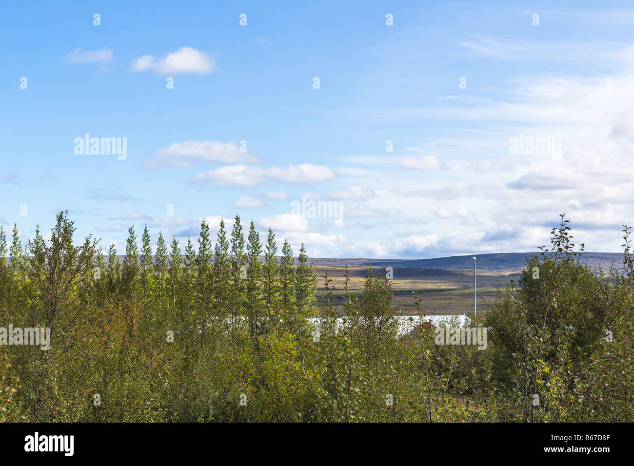 Haukadalur forest hi-res stock photography and images - Alamy