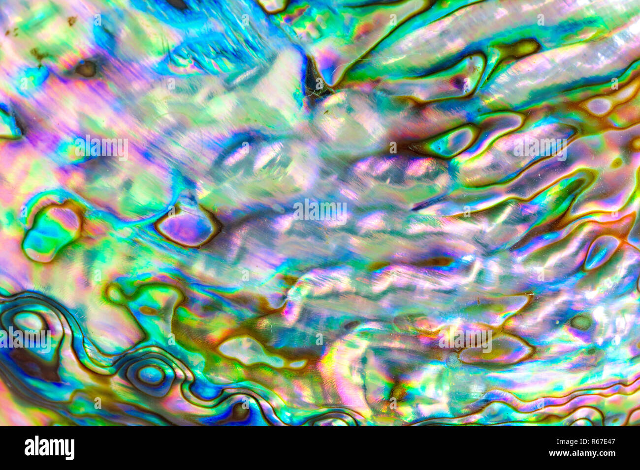 Abalone Shell Texture