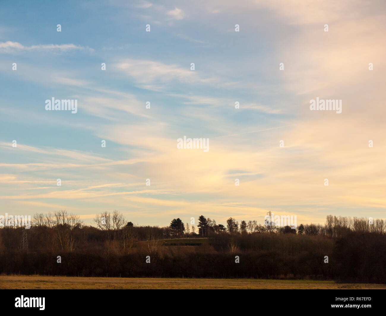 blue countryside sky with trees horizon empty space nature Stock Photo ...