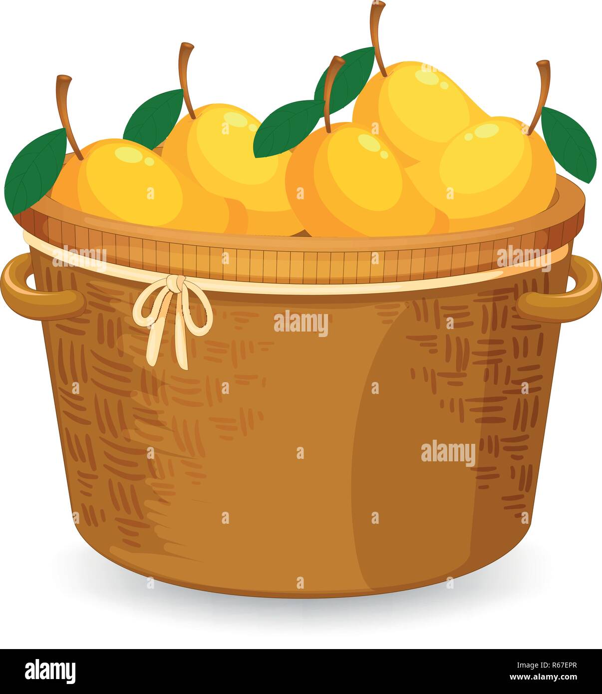 A basket of mango illustration Stock Vector Image & Art - Alamy