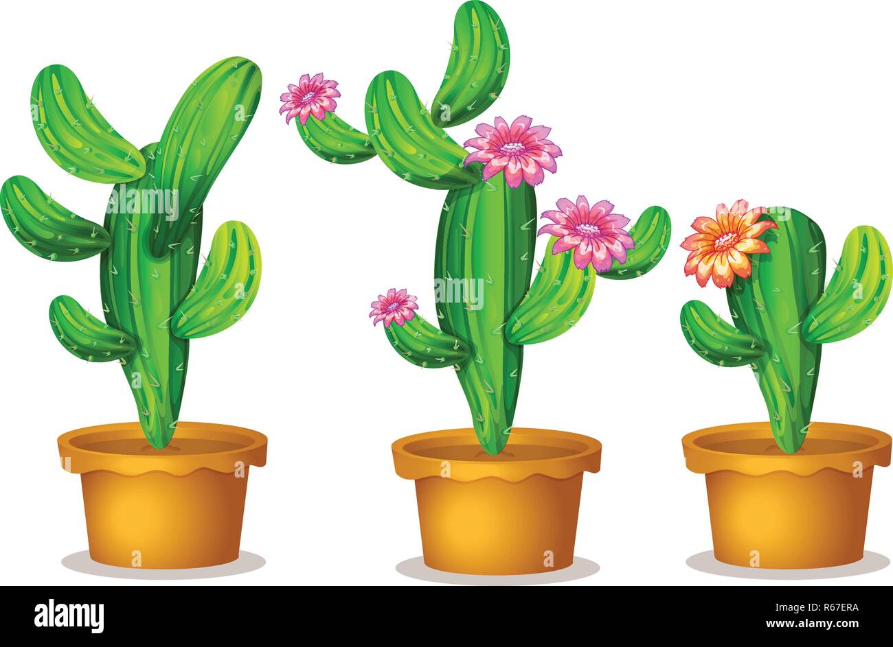 Cactus pot clipart Stock Vector Images - Alamy