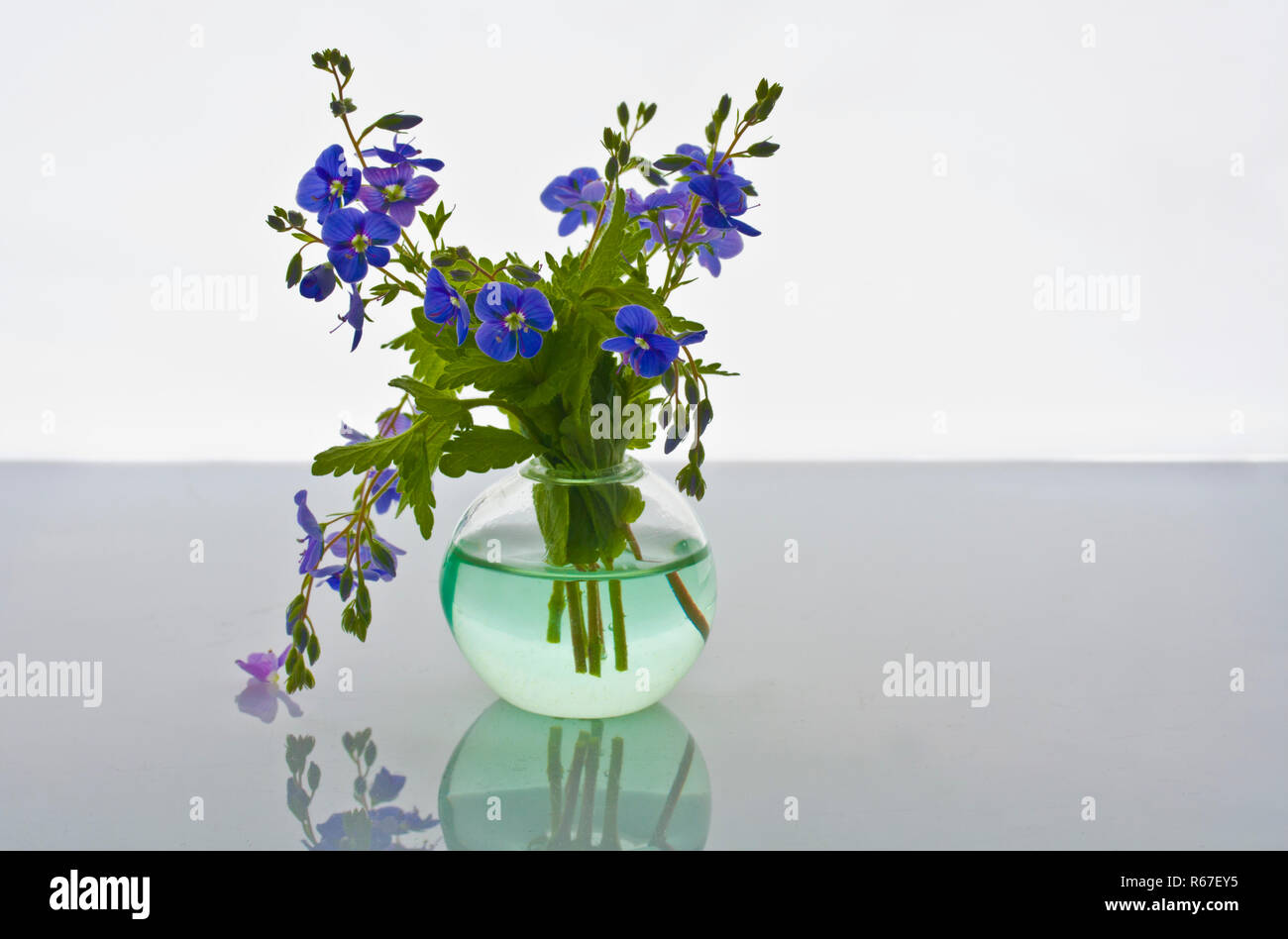 Peric hi-res stock photography and images - Alamy