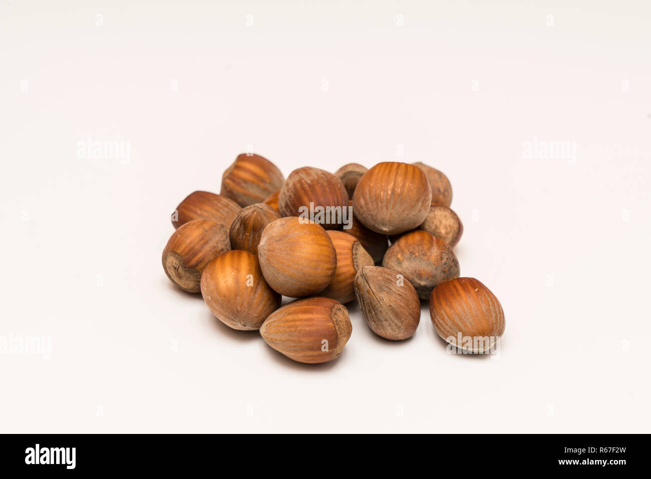 hazelnuts on a white background Stock Photo - Alamy
