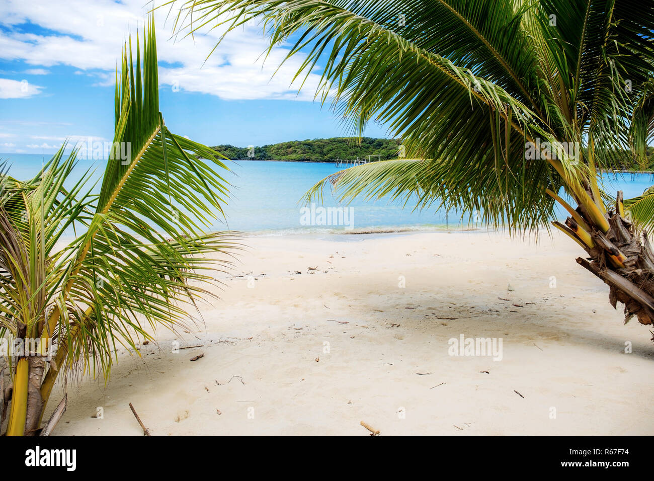 Coconut tree on sand beach with beautiful at the blue sky in island ...