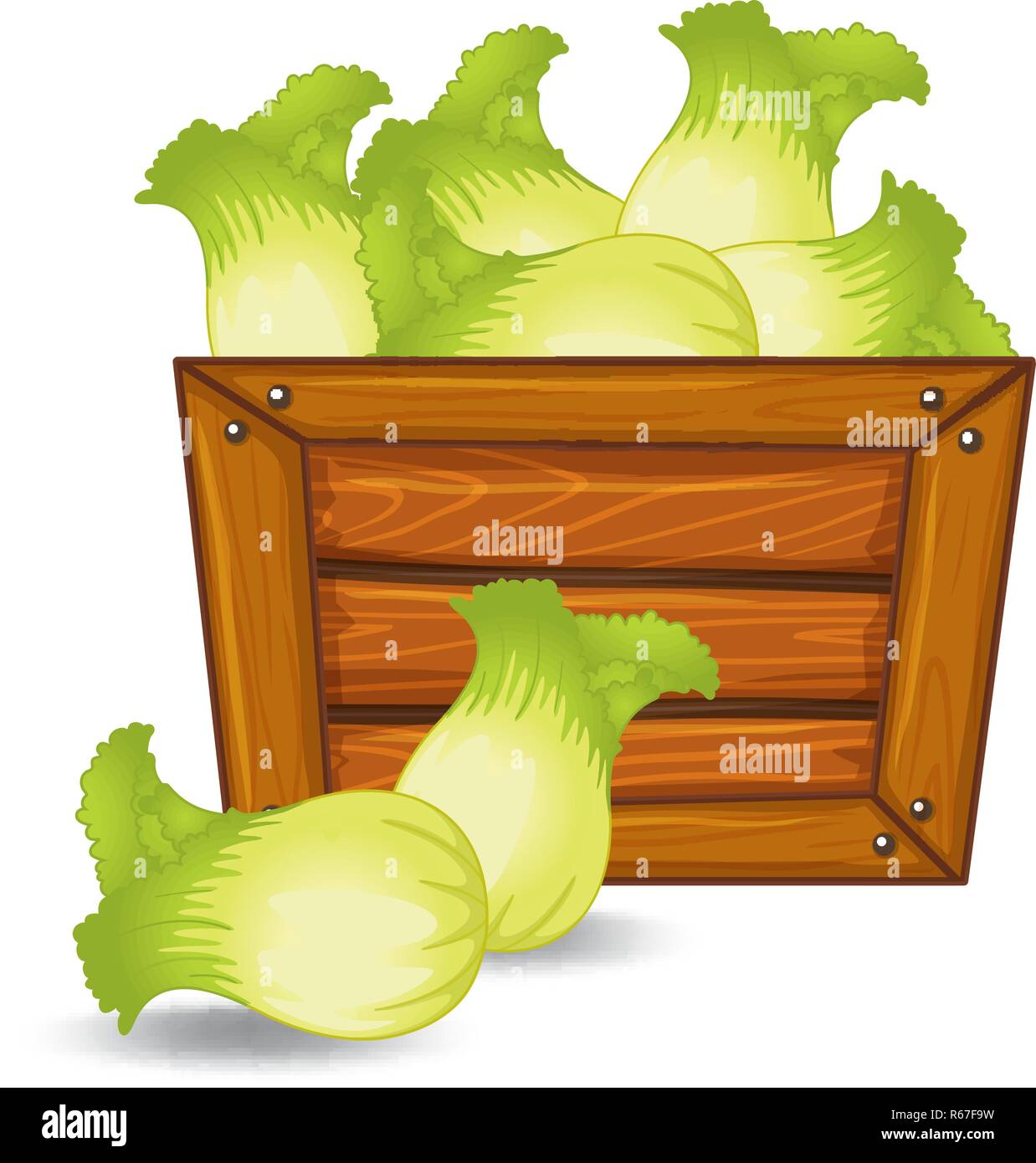 Lettuce on wooden banner illustration Stock Vector Image & Art - Alamy