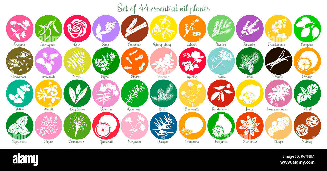 Big set of 44 flat essential oil labels. White Silhouettes Stock Photo ...