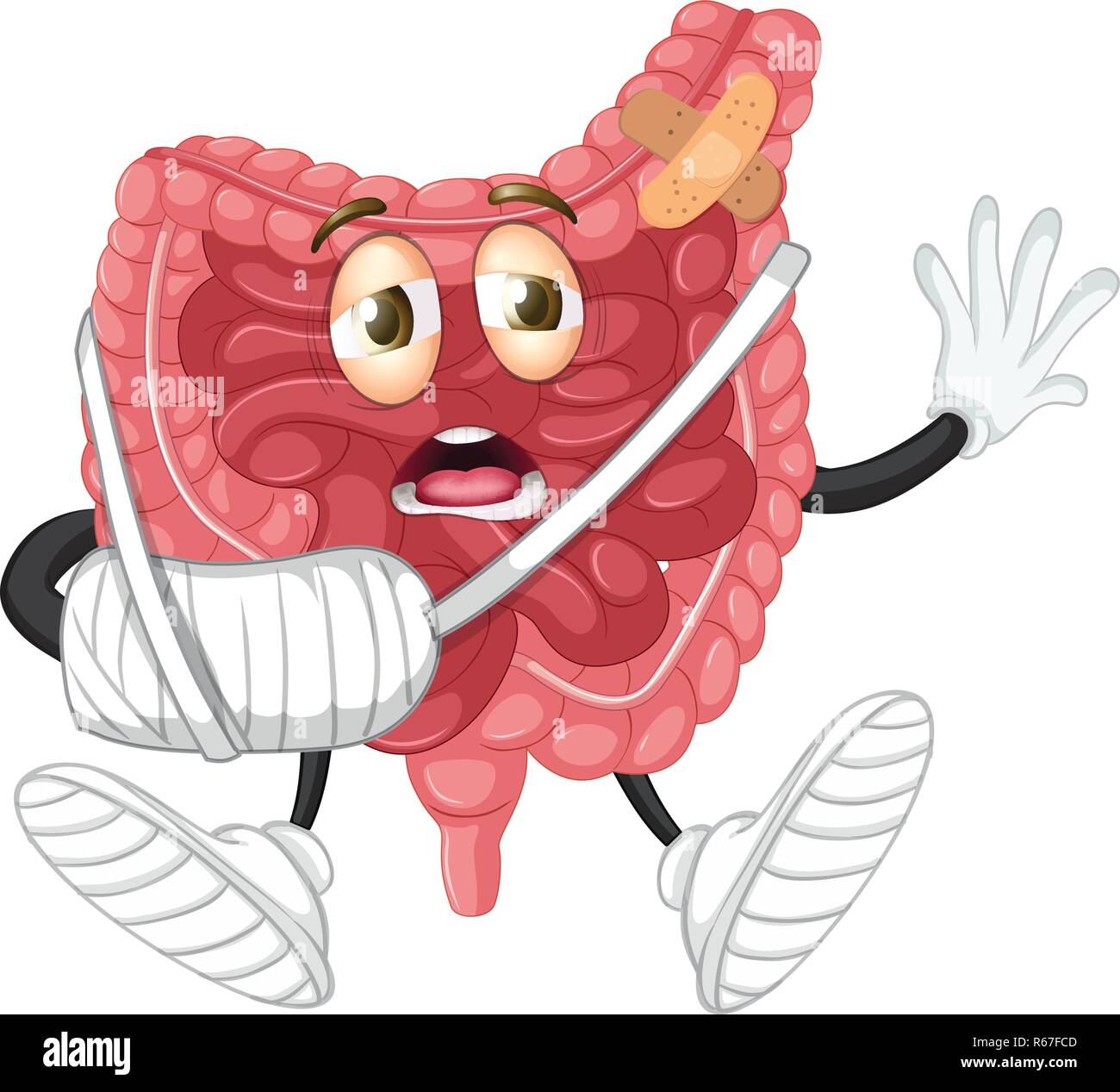 An injure Intestine on white background illustration Stock Vector Image ...