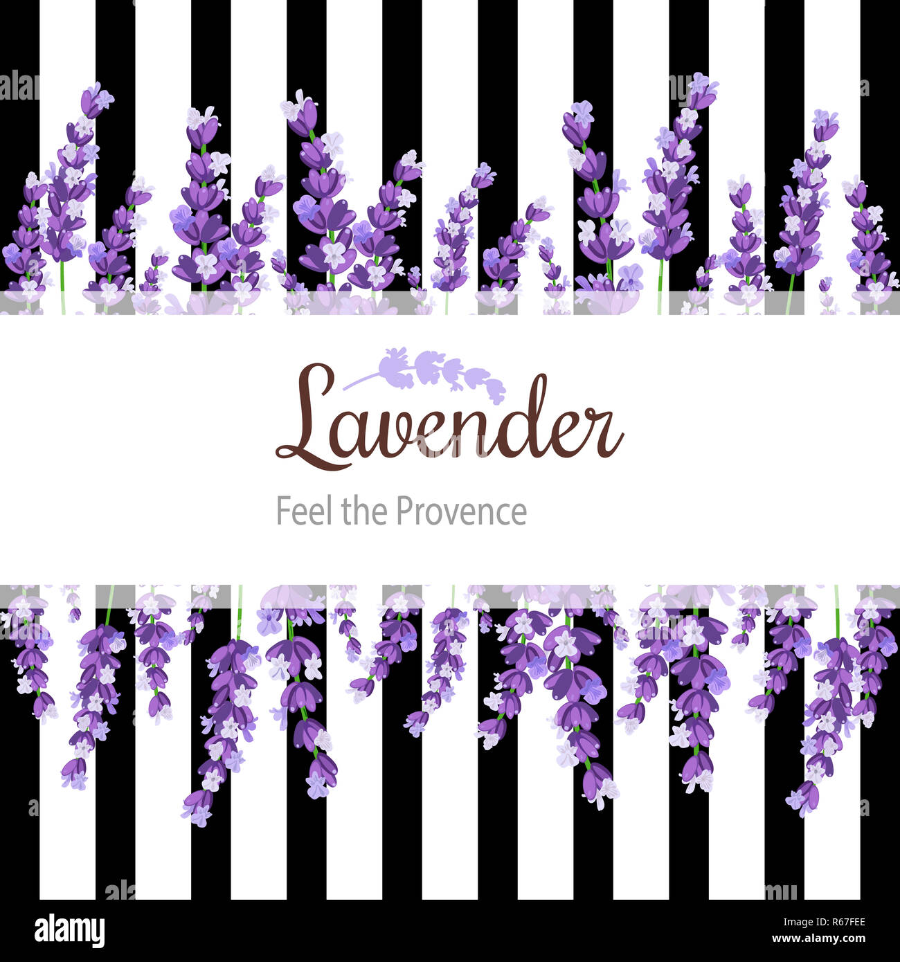Lavender Card with flowers. Vintage Label with provence violet lavender ...
