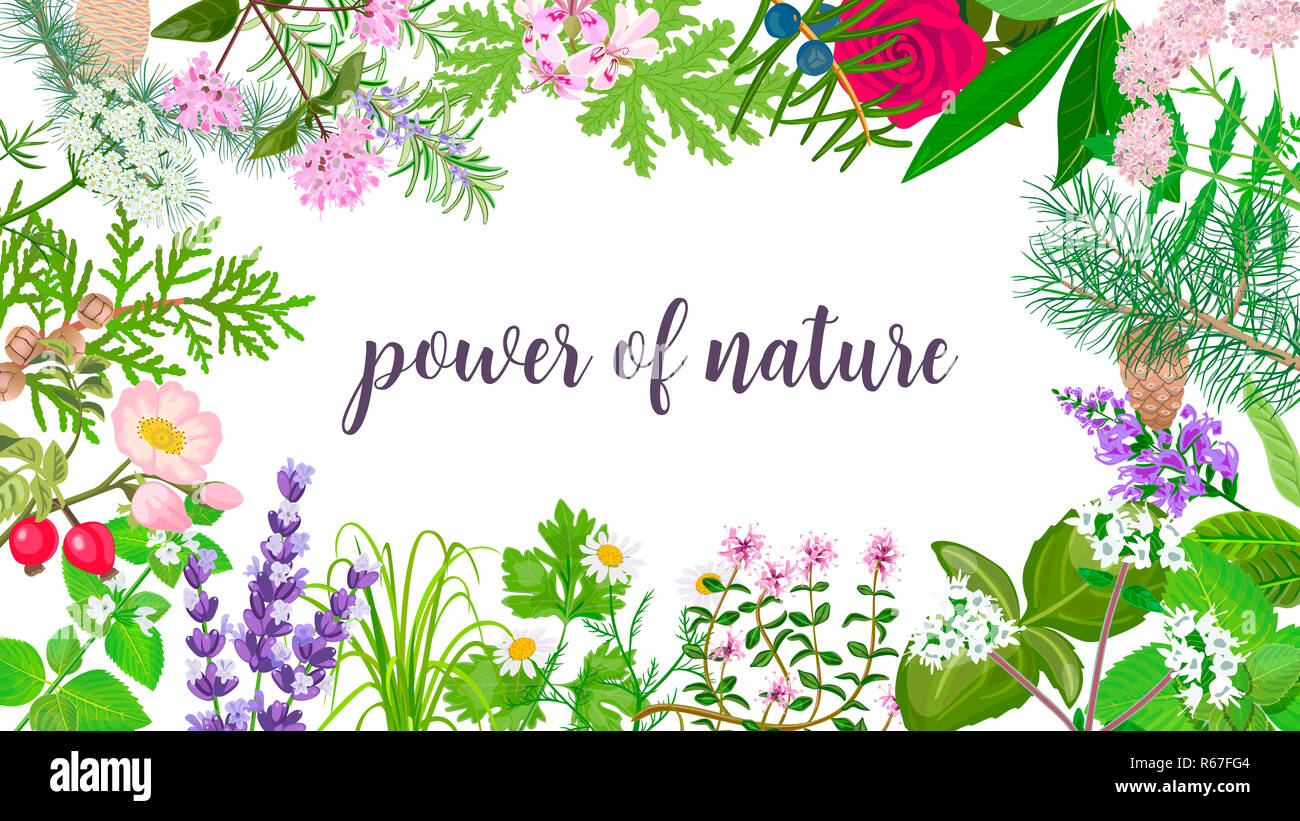 Big realistic Set of home interior setting elements for home design ...