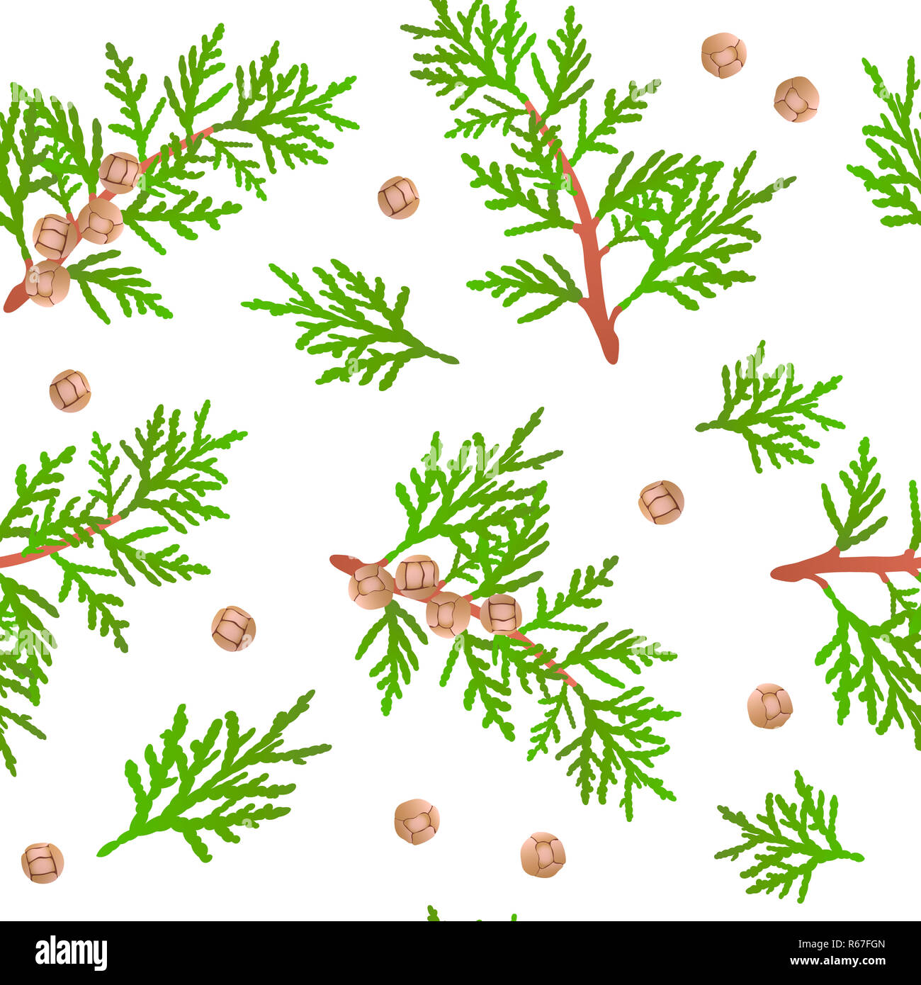 Cypress branch pattern Stock Photo - Alamy