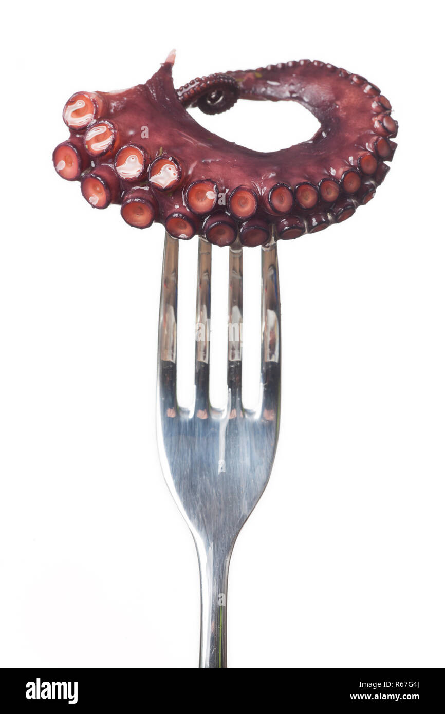 Octopus on a fork hi-res stock photography and images - Alamy