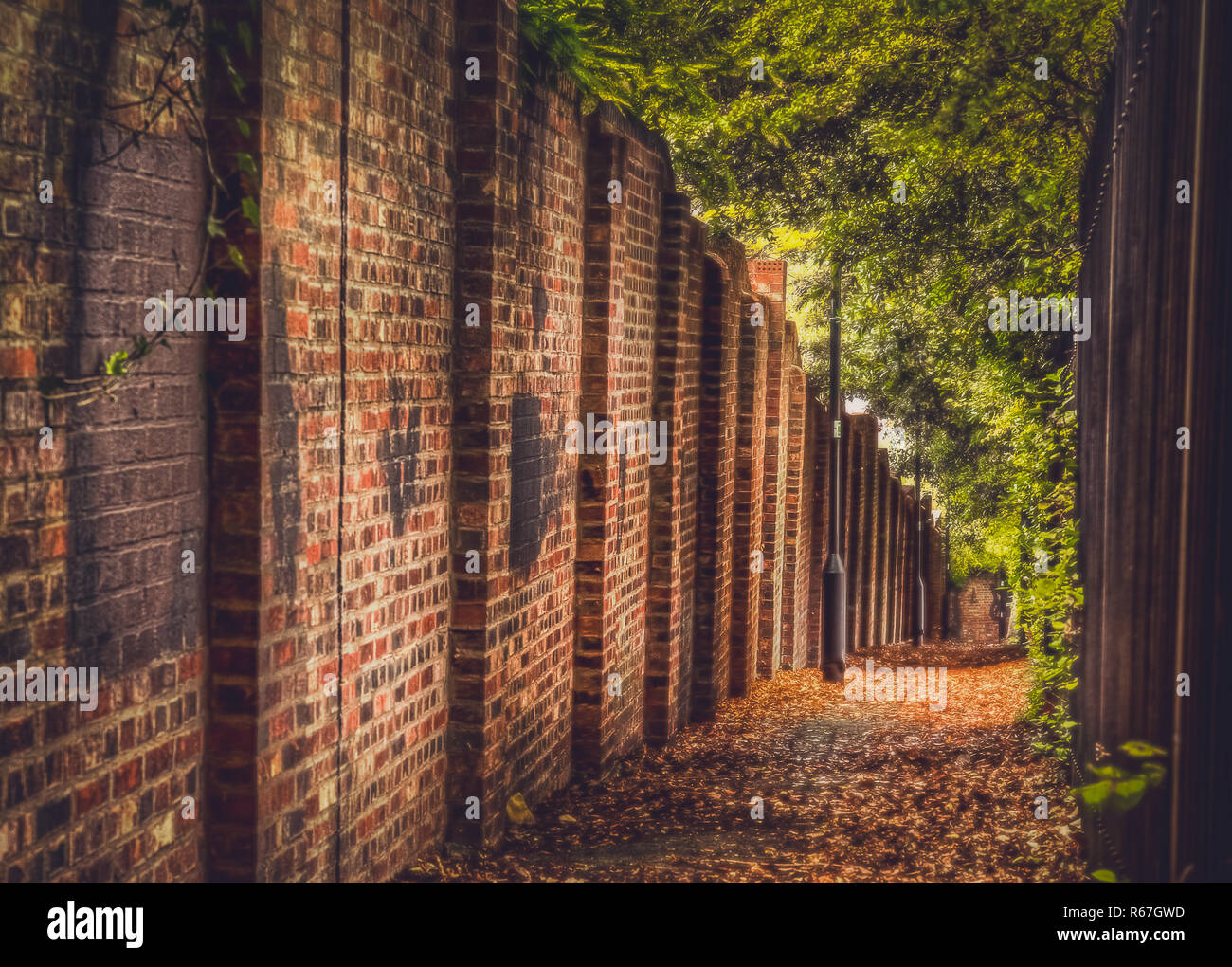 Autumn pathway in town Stock Photo - Alamy