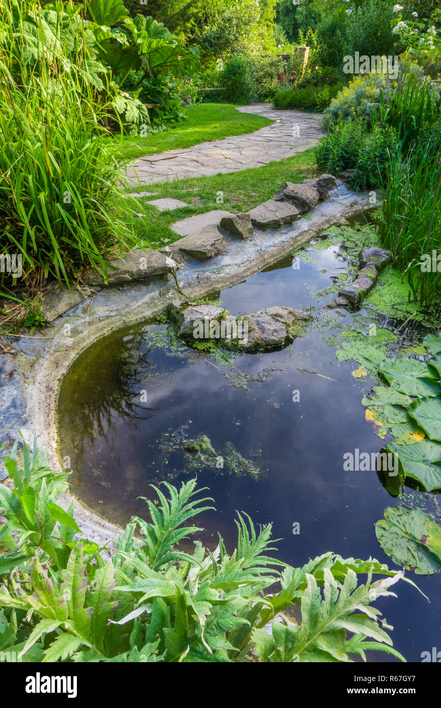 Water pond in a park Stock Photo - Alamy