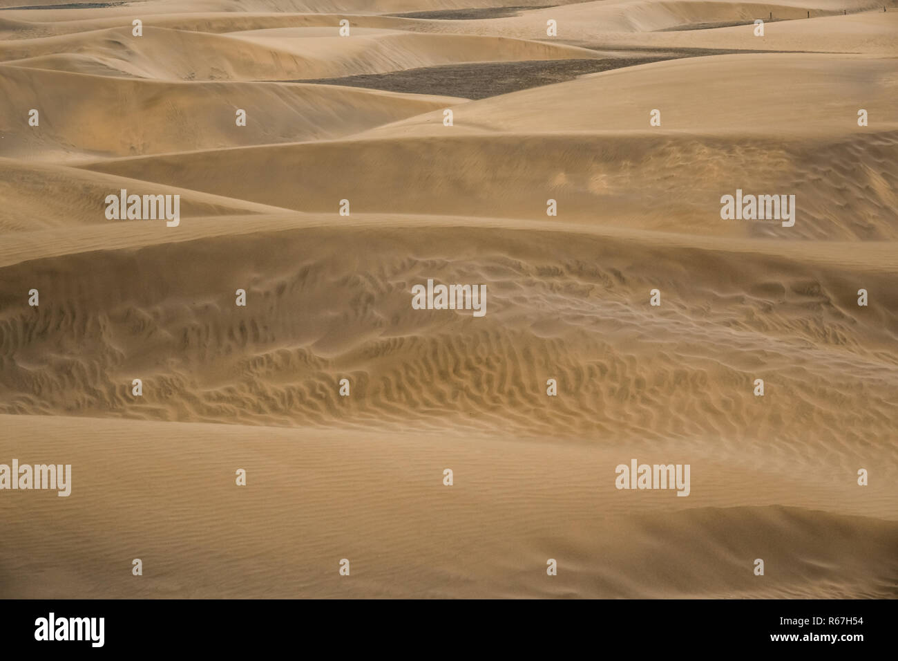 Sand dunes shapes and patterns Stock Photo - Alamy