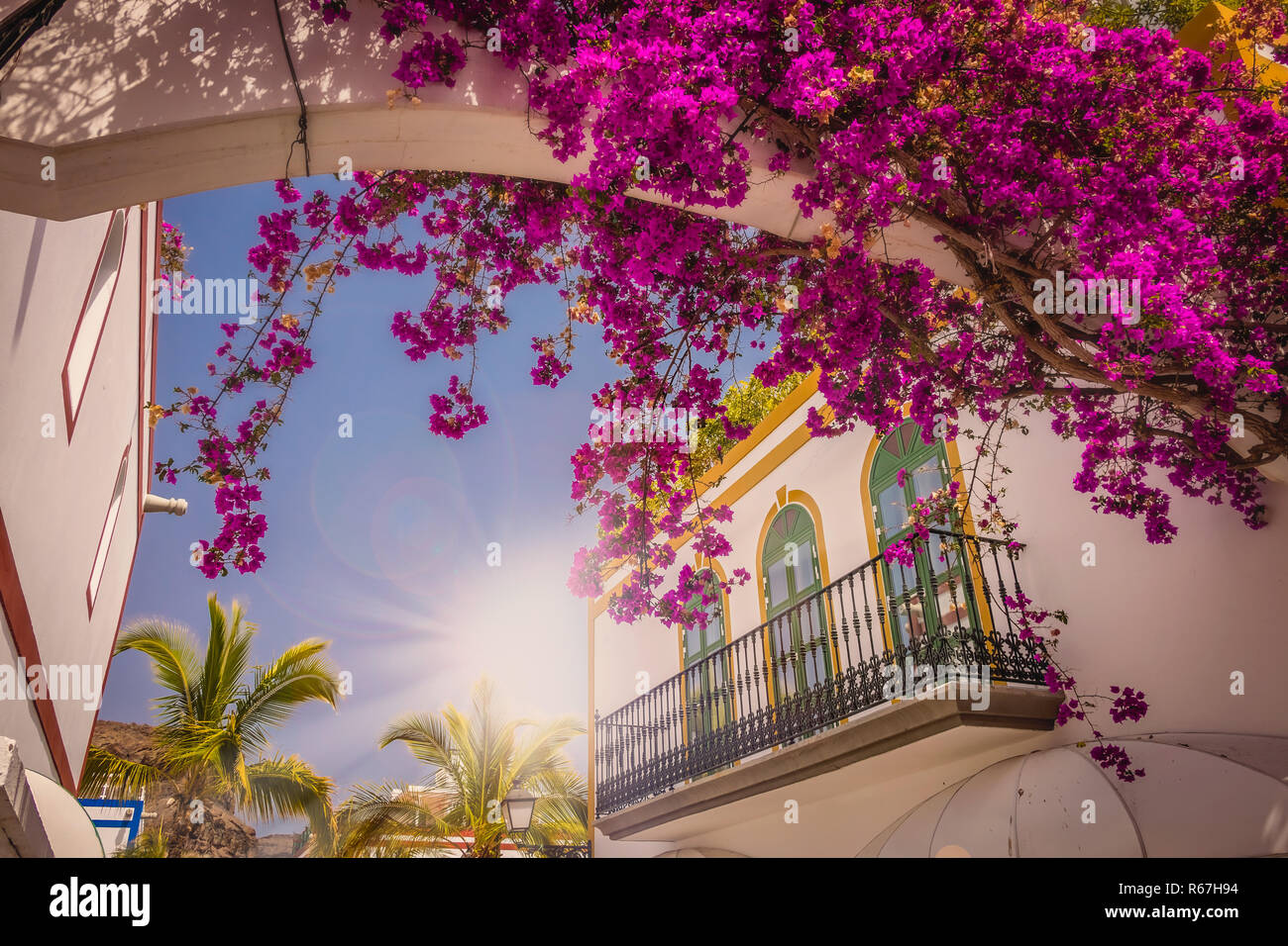 Puerto Mogan Market High Resolution Stock Photography and Images - Alamy