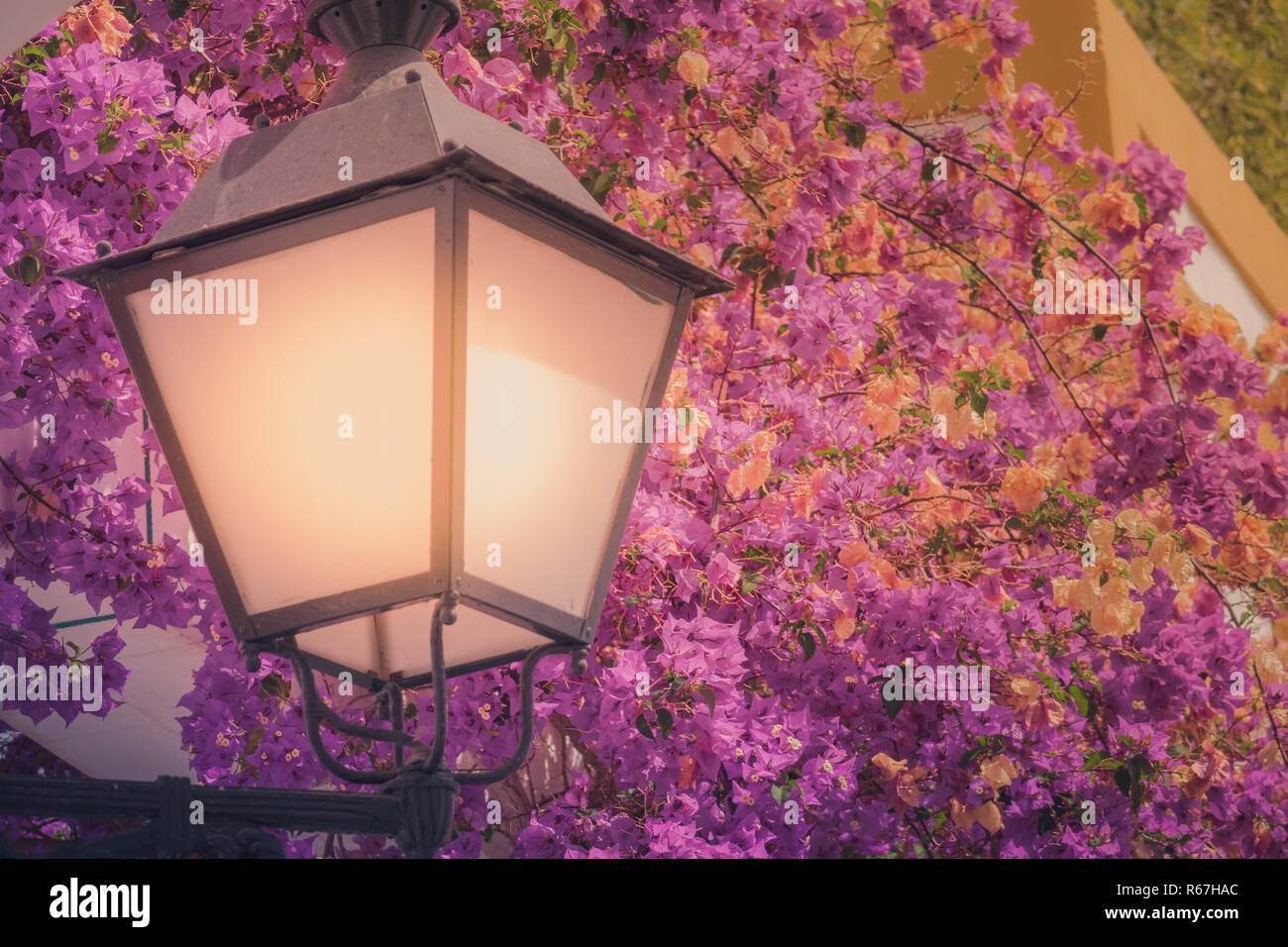 Streetlamp and colorful flowers Stock Photo - Alamy