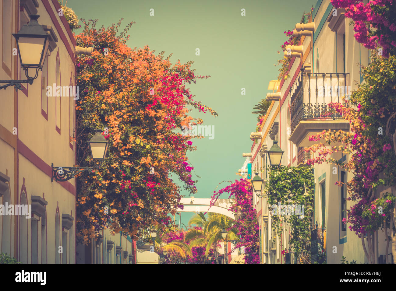 Mogan market hi-res stock photography and images - Alamy