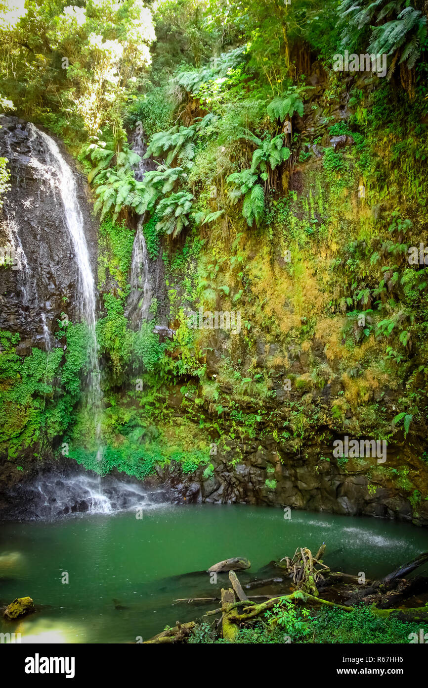 Jungle waterfall in northern Madagascar Stock Photo - Alamy