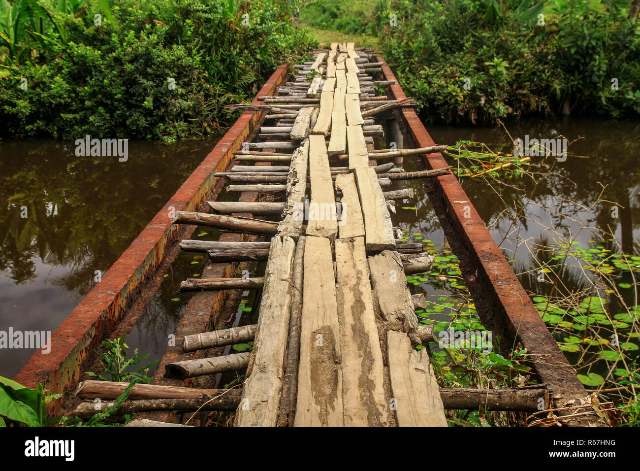 Risky bridge in the jungle Stock Photo - Alamy