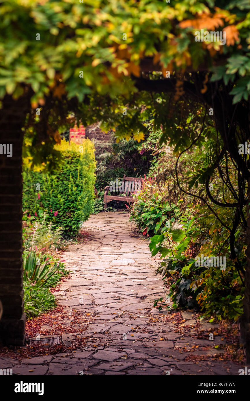 Pathway in a park in autumn Stock Photo - Alamy
