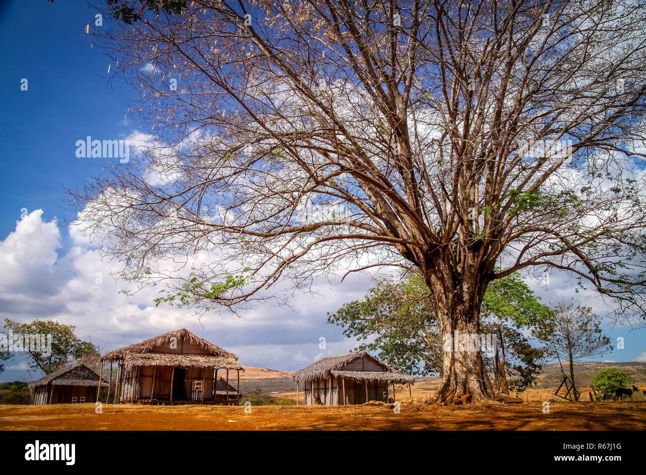Small malagasy village Stock Photo - Alamy