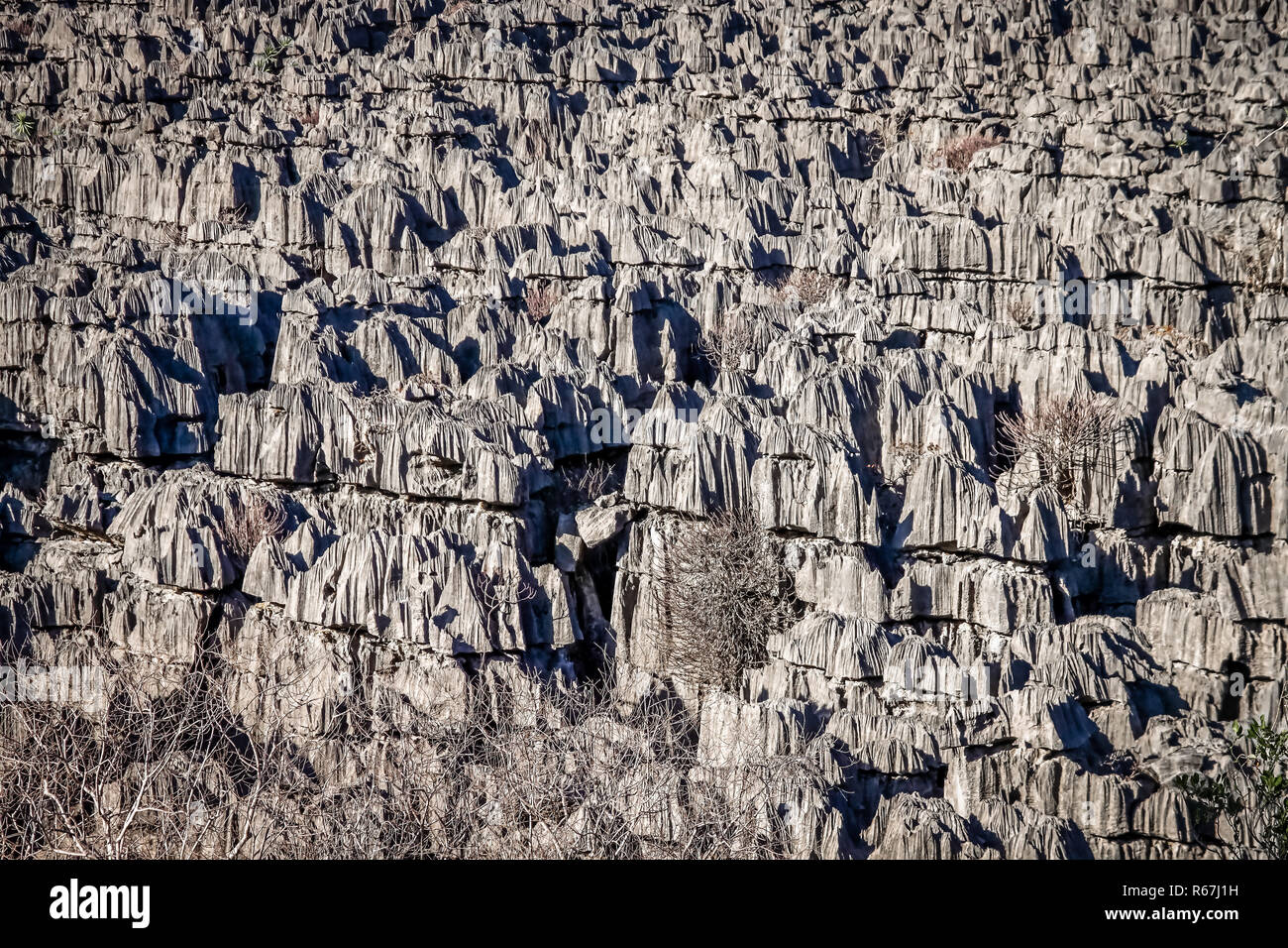 Tsingy plateau hi-res stock photography and images - Alamy
