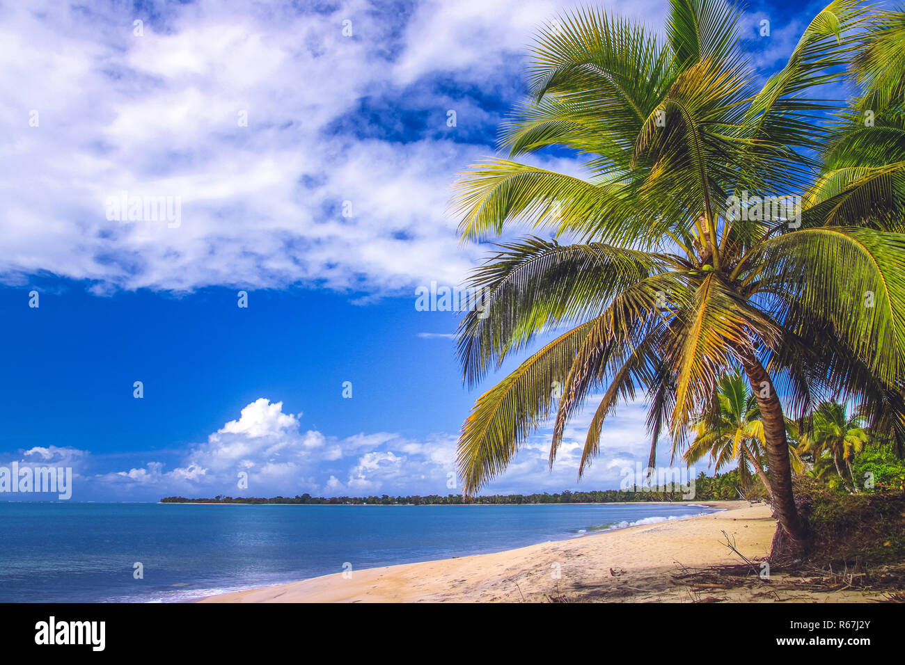 Beach in tropics Stock Photo - Alamy