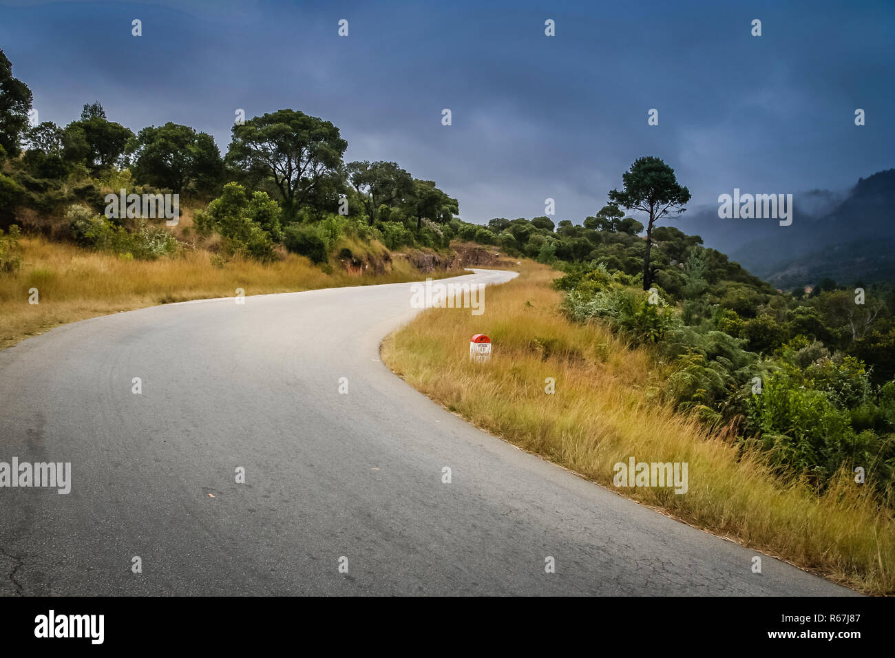 Road through Madagascar Stock Photo - Alamy