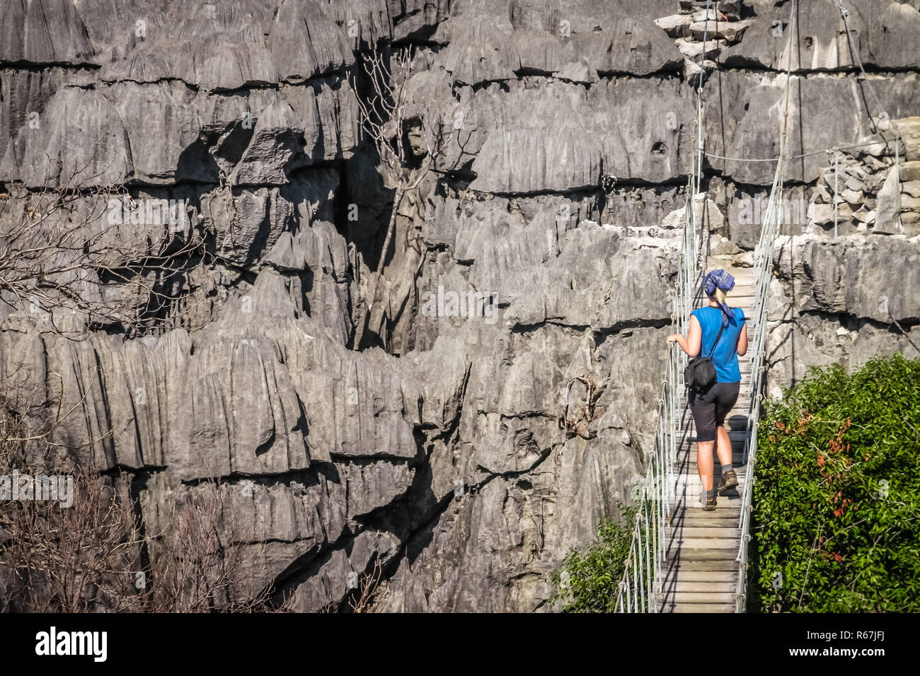 Tourist on the famous hanging bridge of Ankarana Stock Photo - Alamy