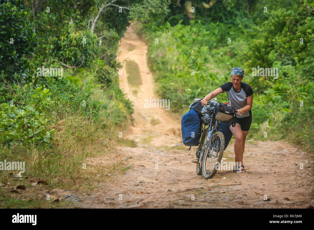 Pushing bicycle on a jungle path Stock Photo - Alamy