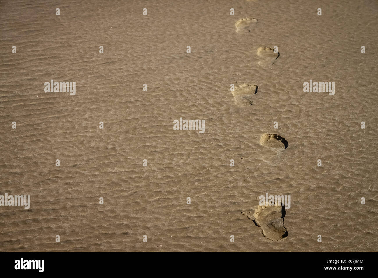 Footsteps in the sand Stock Photo - Alamy