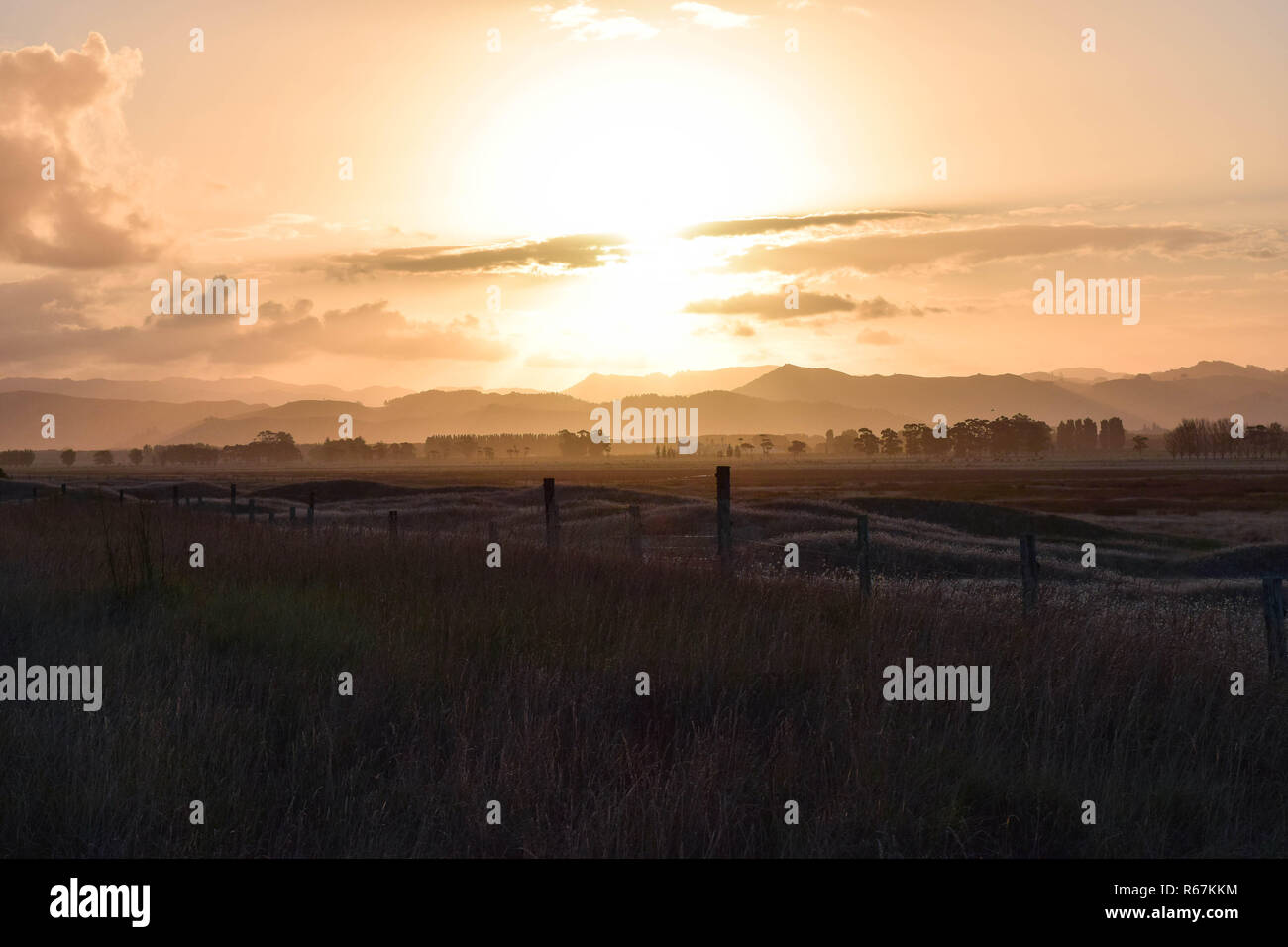 Peach colored clouds hi-res stock photography and images - Alamy