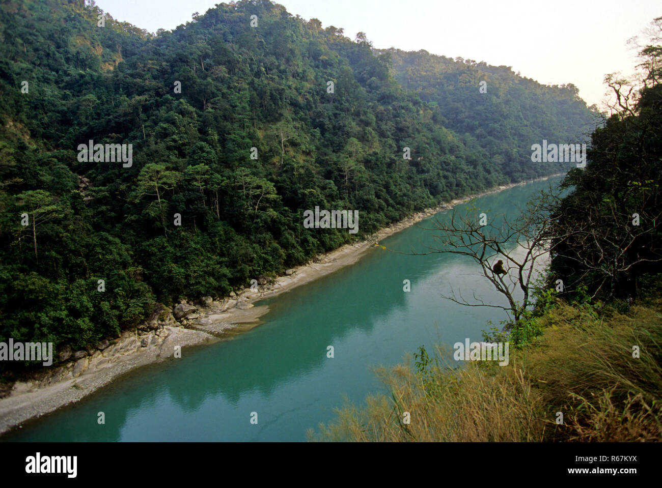 teesta river, sikkim, india Stock Photo - Alamy