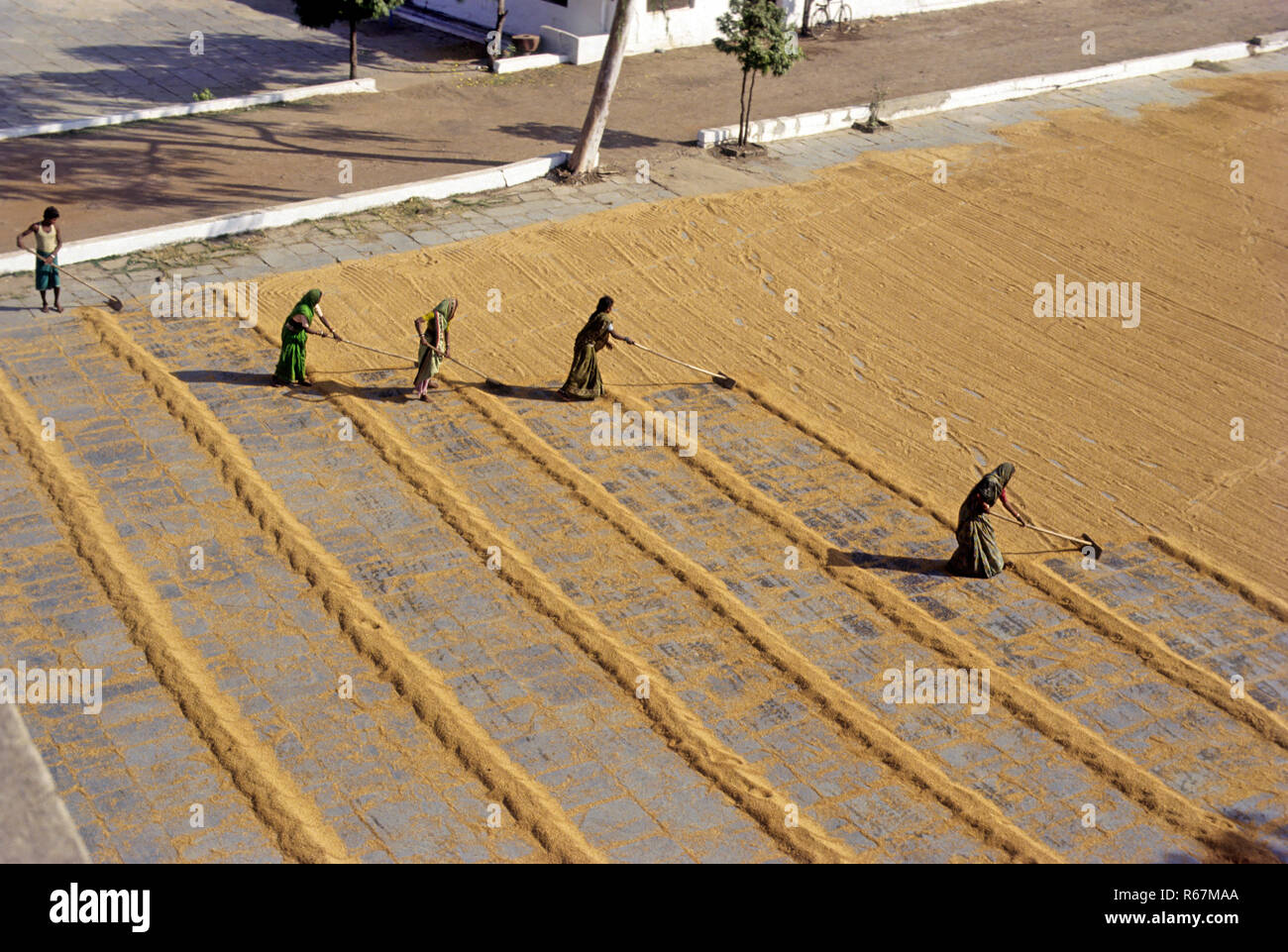people working in rice-mill, india Stock Photo - Alamy