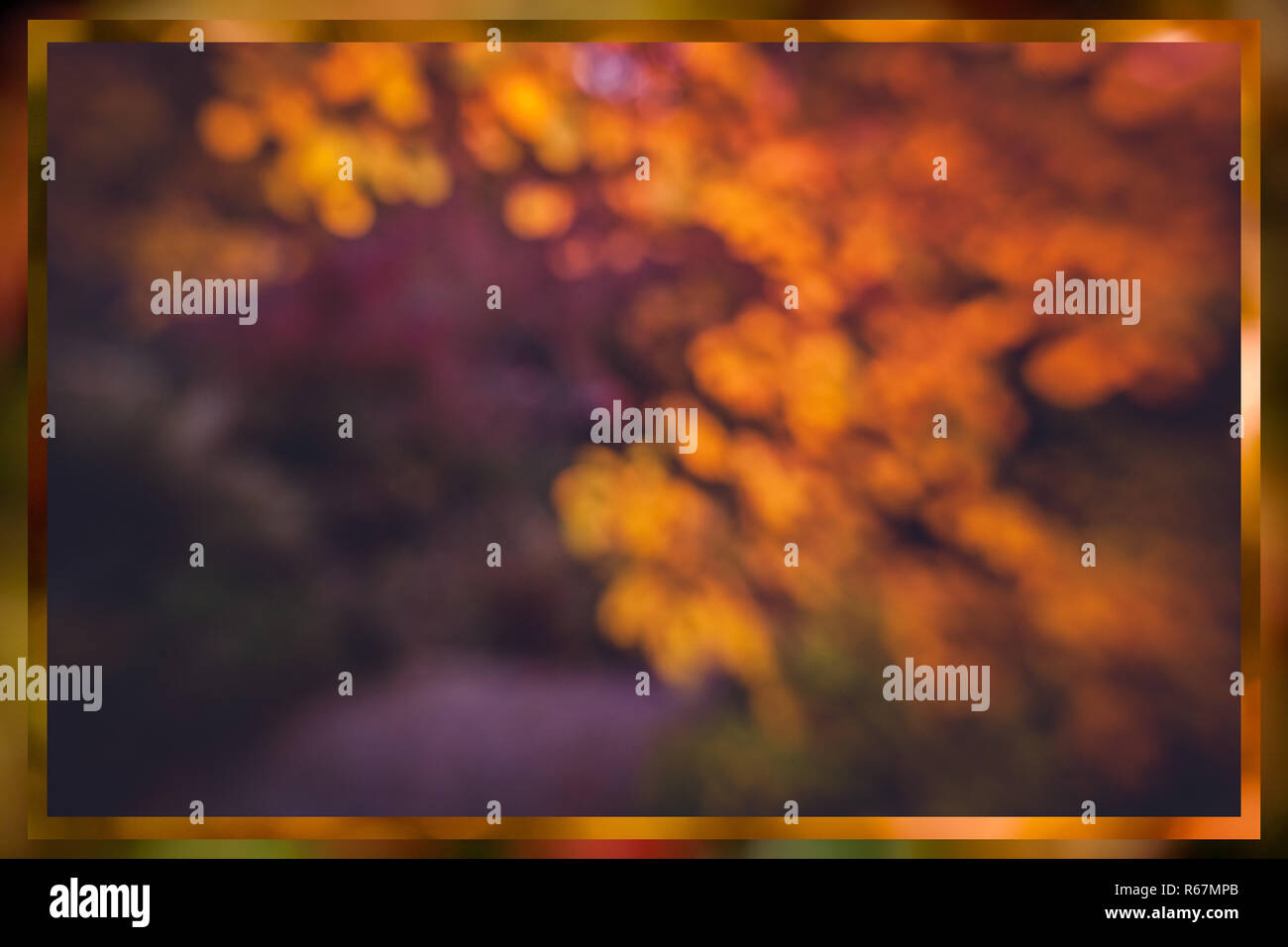 Diffused outdoor lighting hi-res stock photography and images - Alamy