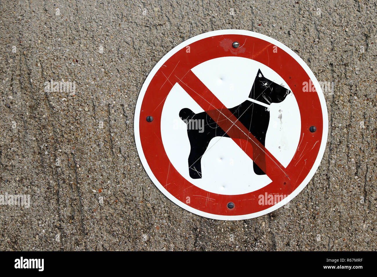 Illegal dogs hi-res stock photography and images - Alamy