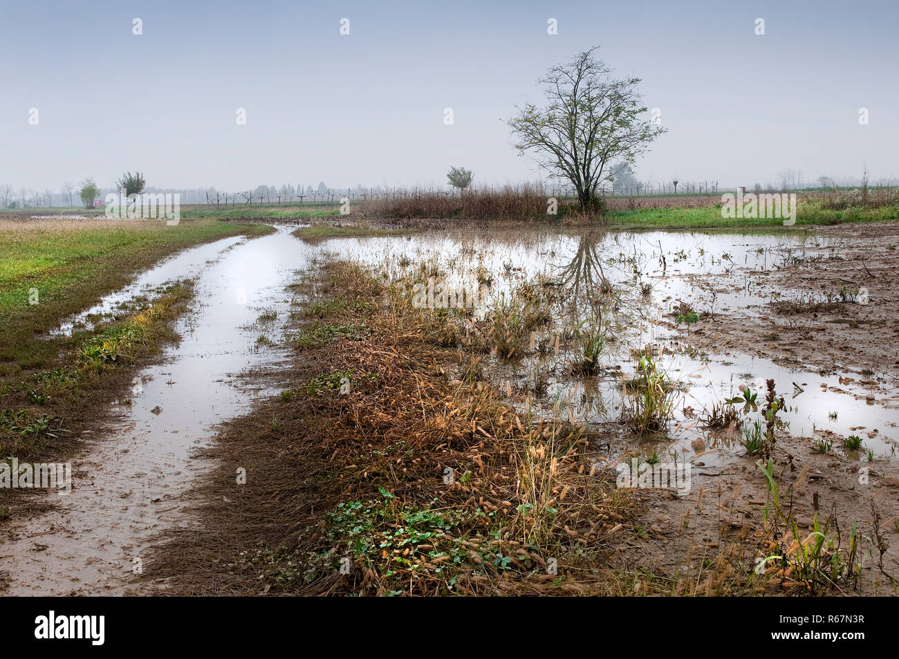 flooded fields after a storm Stock Photo - Alamy