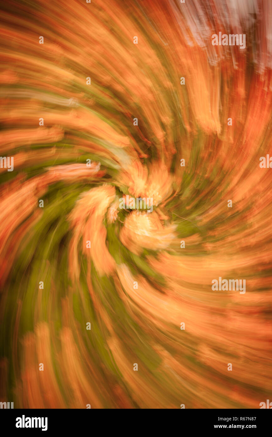 Colorful swirl background Stock Photo - Alamy