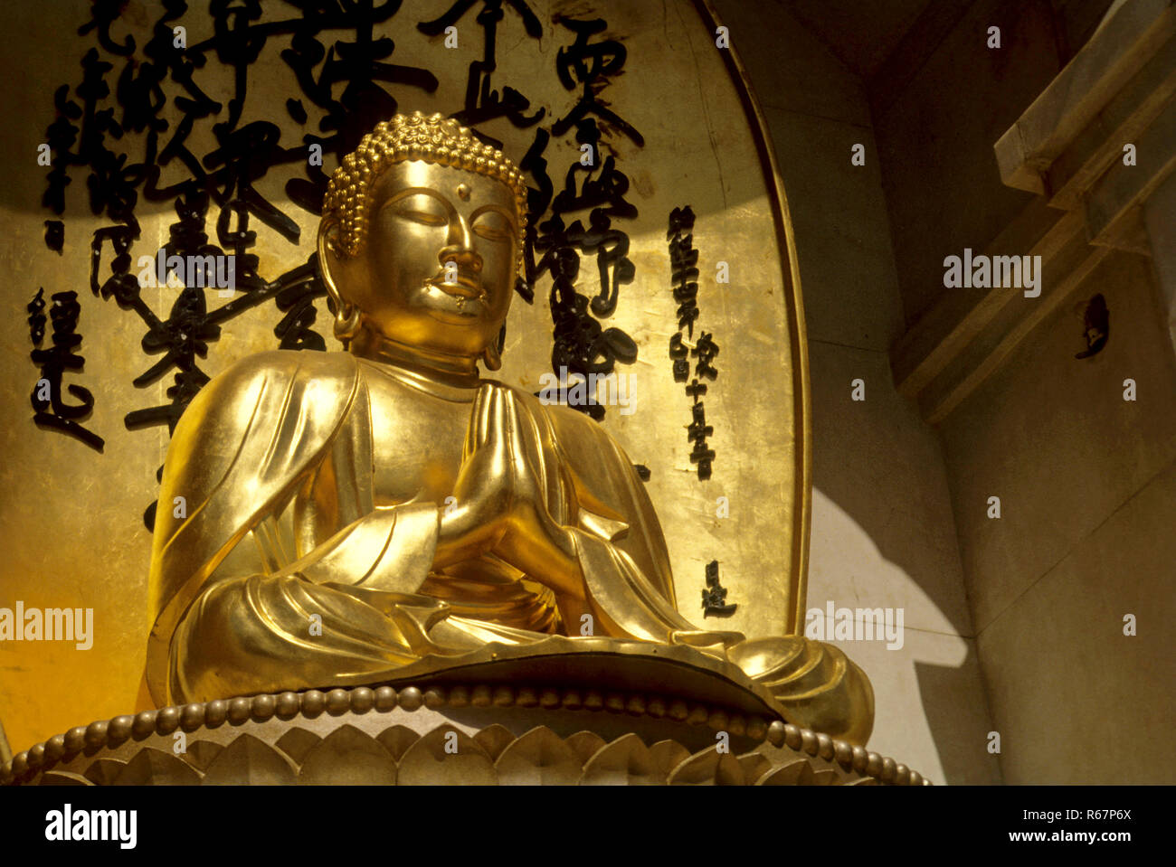 statue of lord buddha, rajgir, bihar, india Stock Photo - Alamy