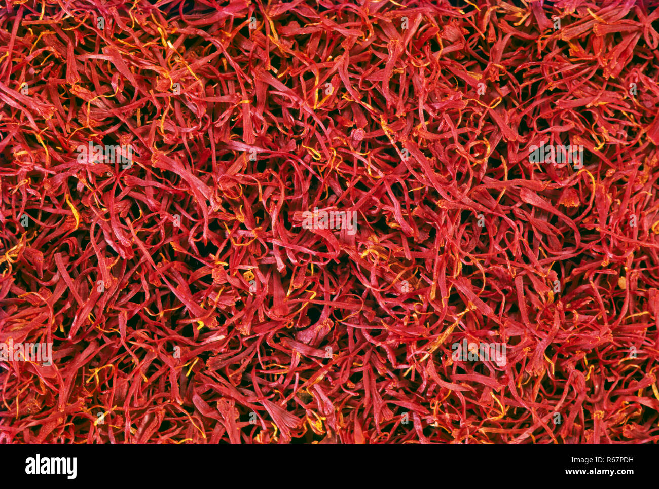 Saffron cultivation hi-res stock photography and images - Alamy