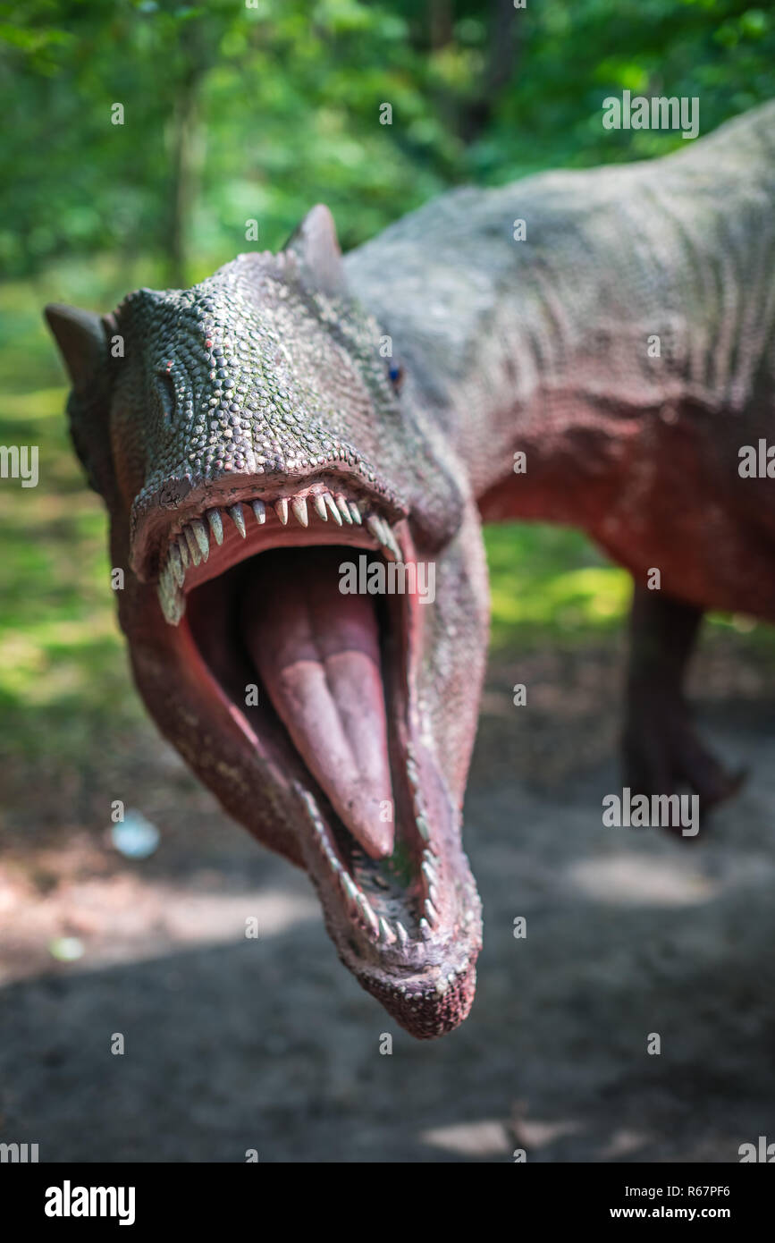 Life sized Allosaurus dinosaur statue Stock Photo - Alamy
