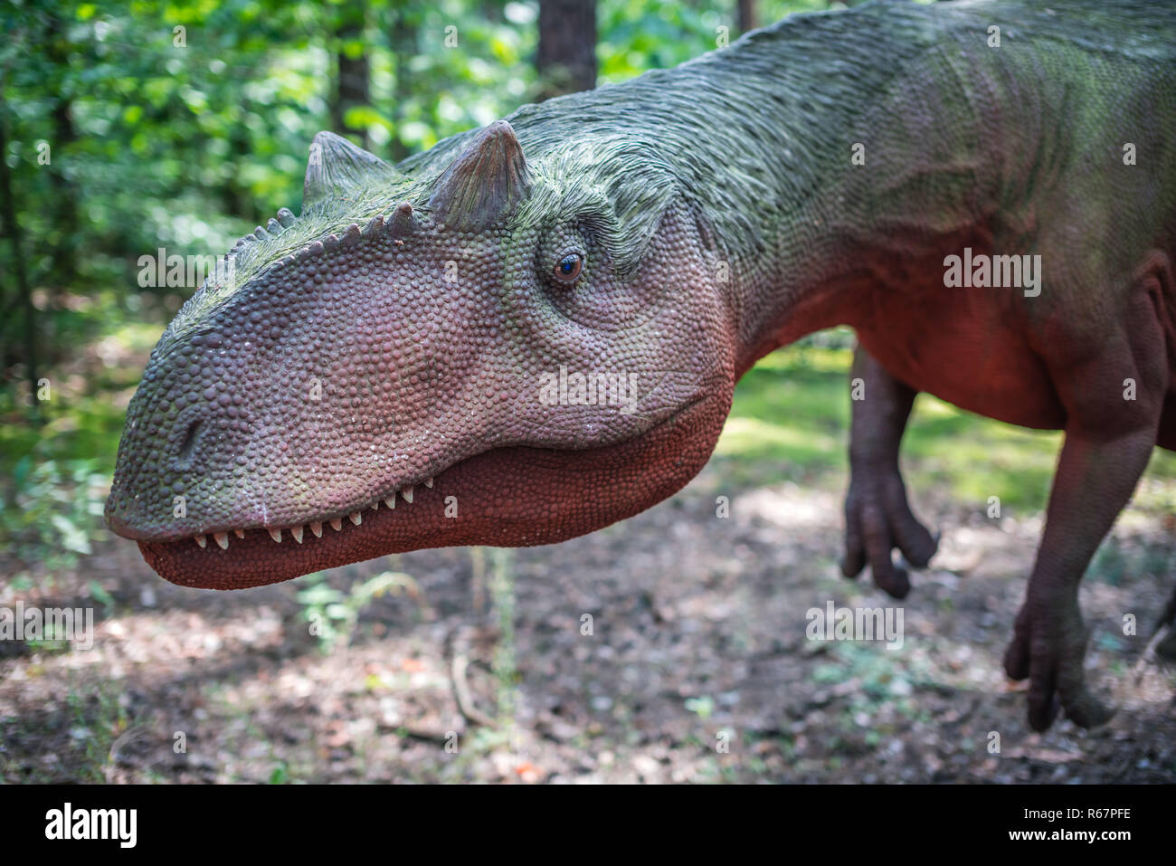 Life sized Allosaurus dinosaur statue Stock Photo - Alamy