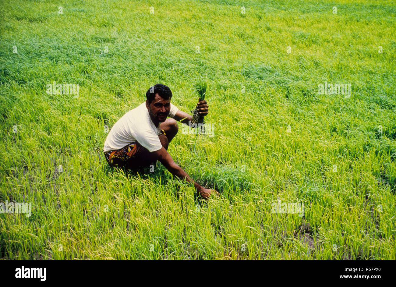 Men working the fields hi-res stock photography and images - Alamy