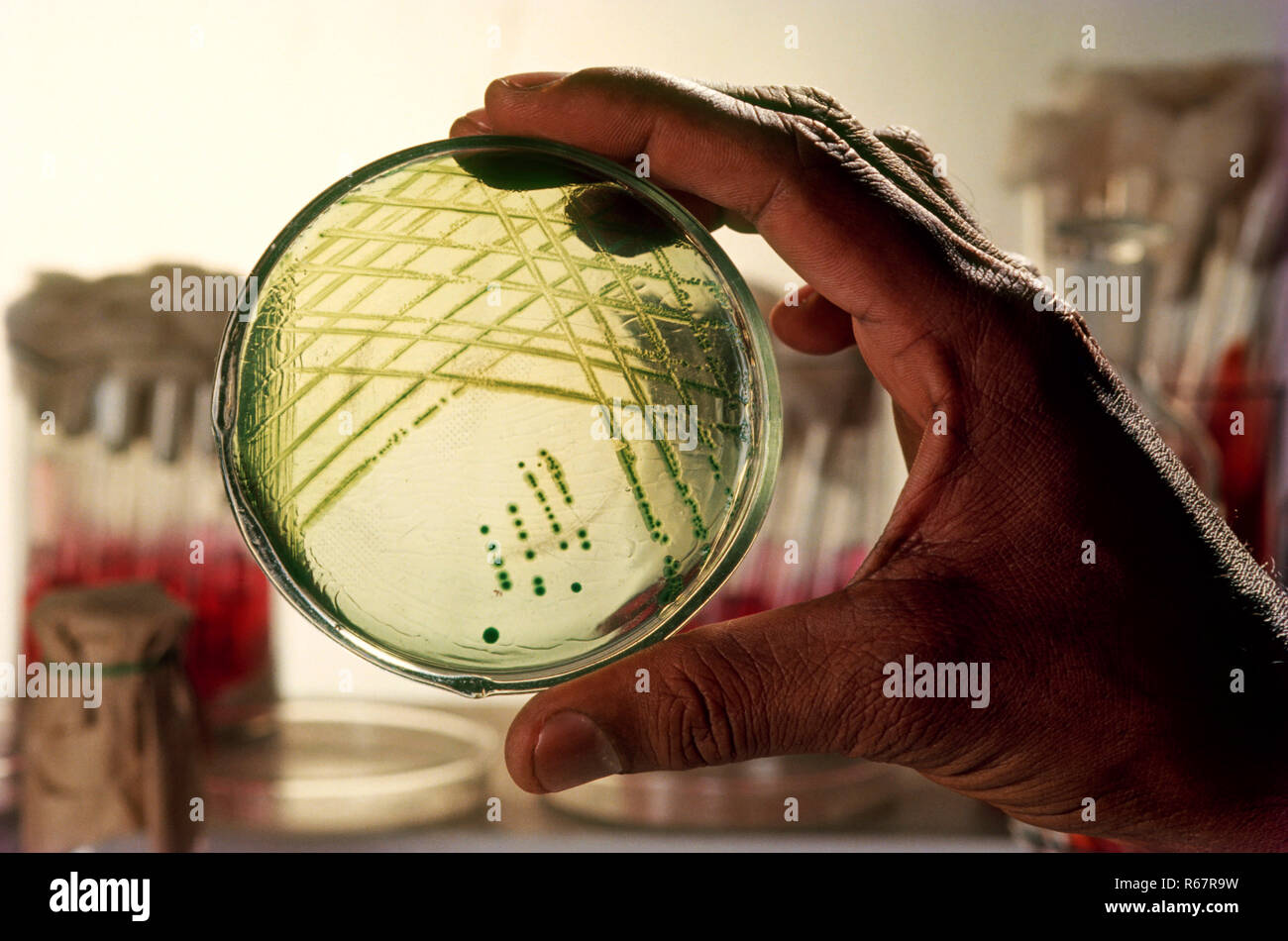 Bio technology hi-res stock photography and images - Alamy