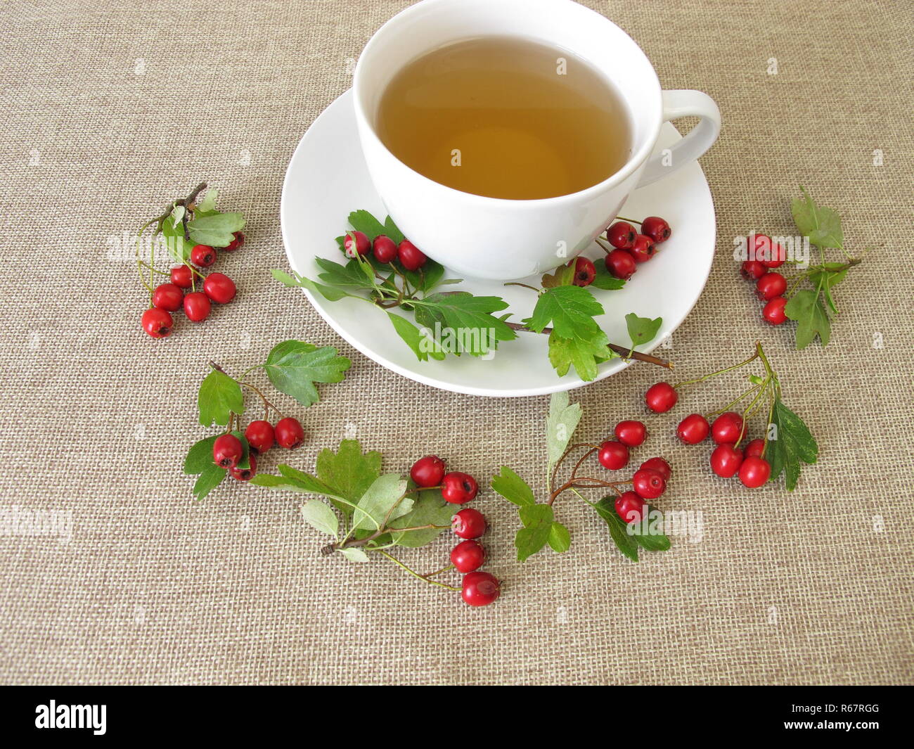herbal tea with hawthorn Stock Photo - Alamy