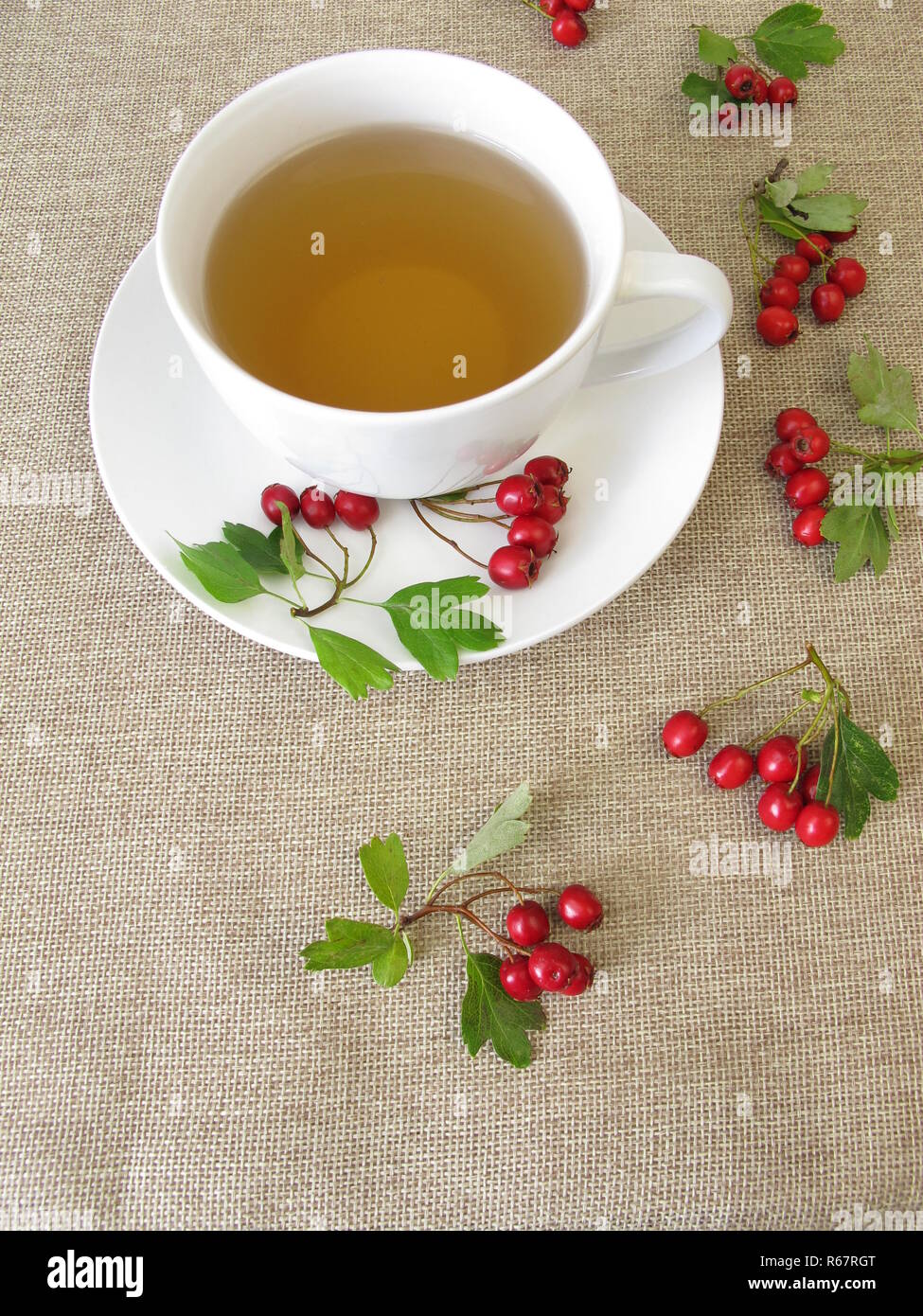 herbal tea with hawthorn Stock Photo - Alamy