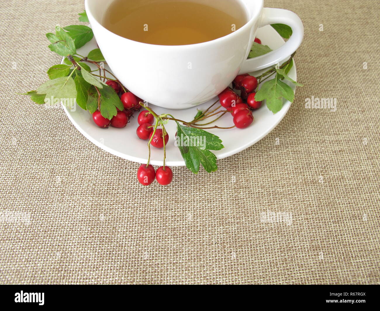herbal tea with hawthorn Stock Photo - Alamy