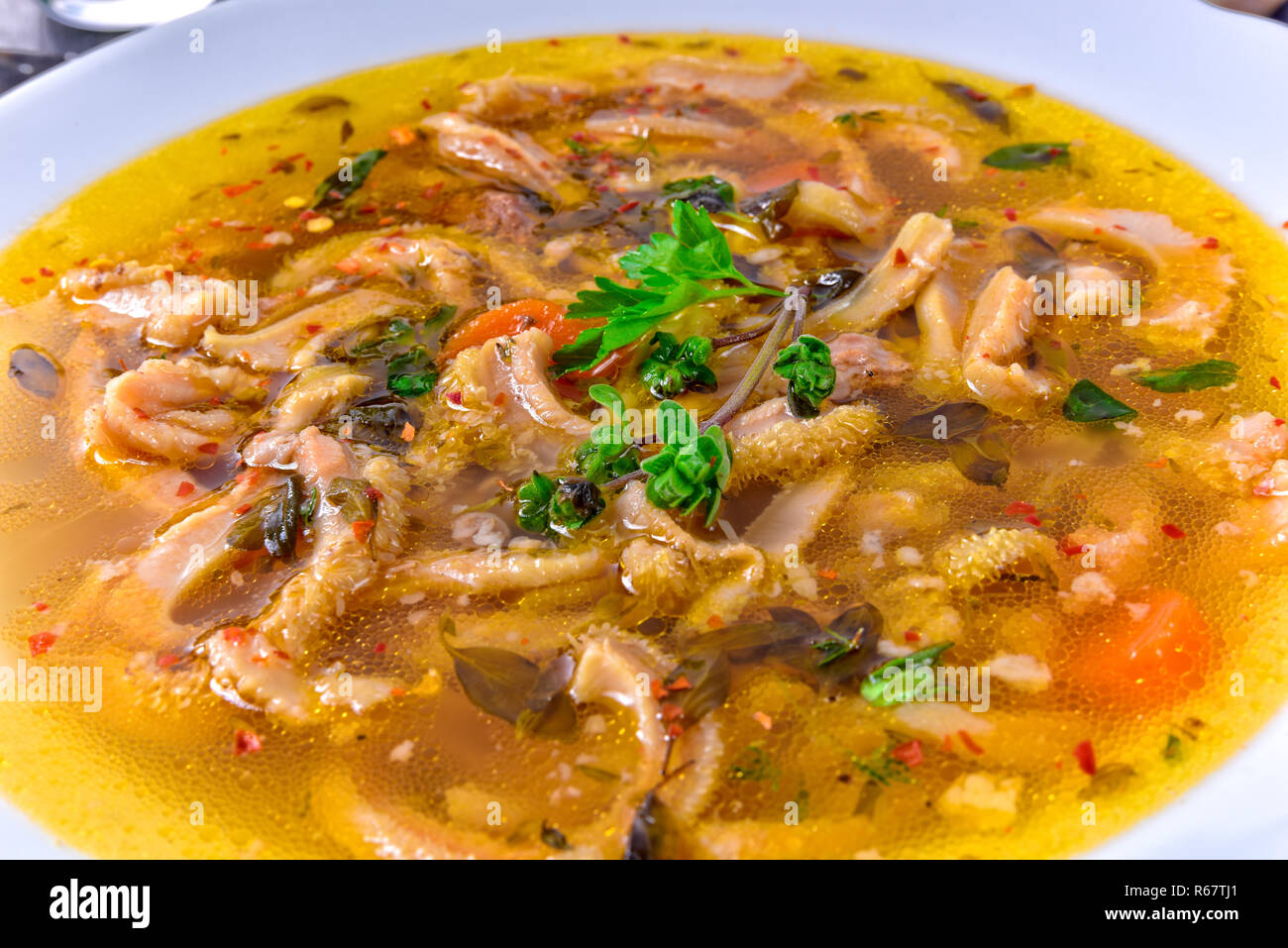 Polish tripes hi-res stock photography and images - Alamy